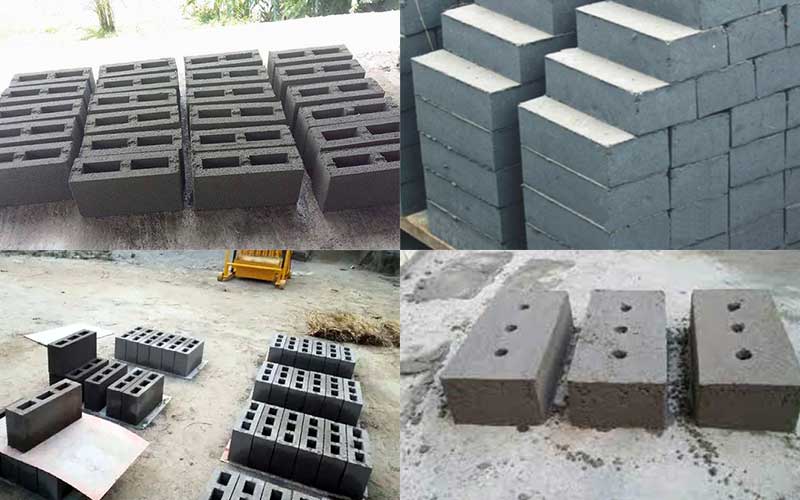 Wildlife Conservation Initiative