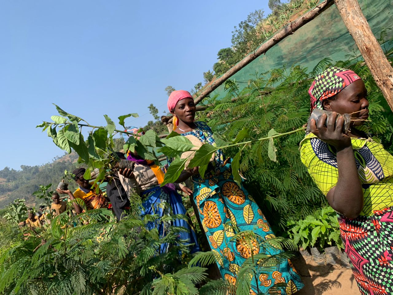 Wildlife Conservation Initiative